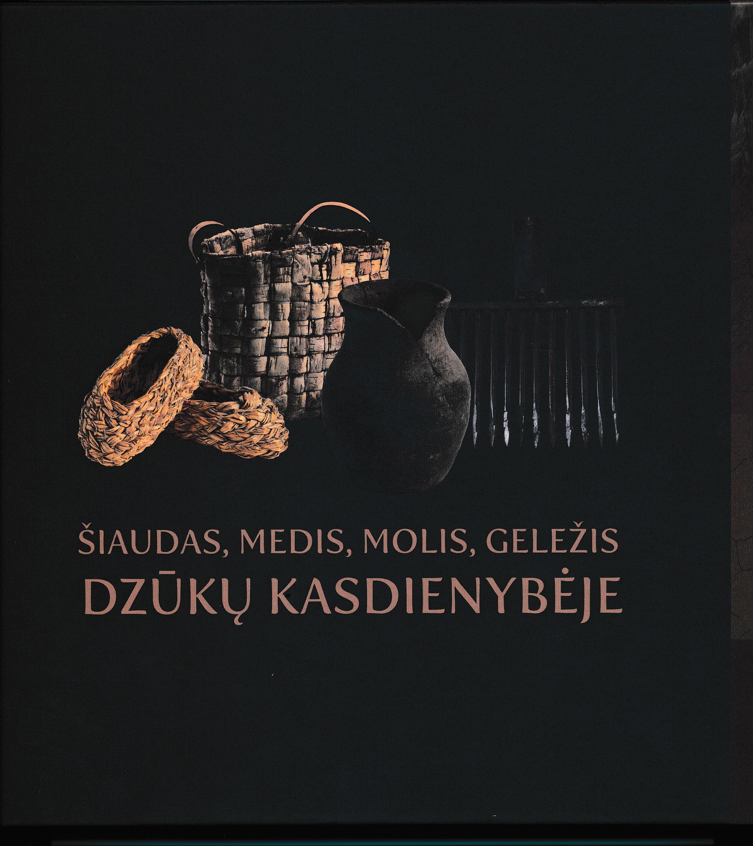 Šiaudas, medis, molis, geležis dzūkų kasdienybėje: Alytaus kraštotyros ...